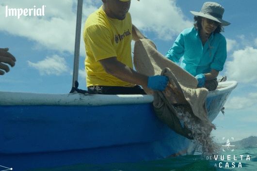 FIFCO y su marca Imperial presentan el documental “De Vuelta a Casa ...